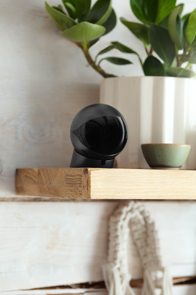 Homam | Zorachka Inc.