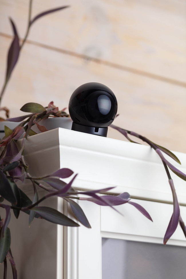 Homam | Zorachka Inc.