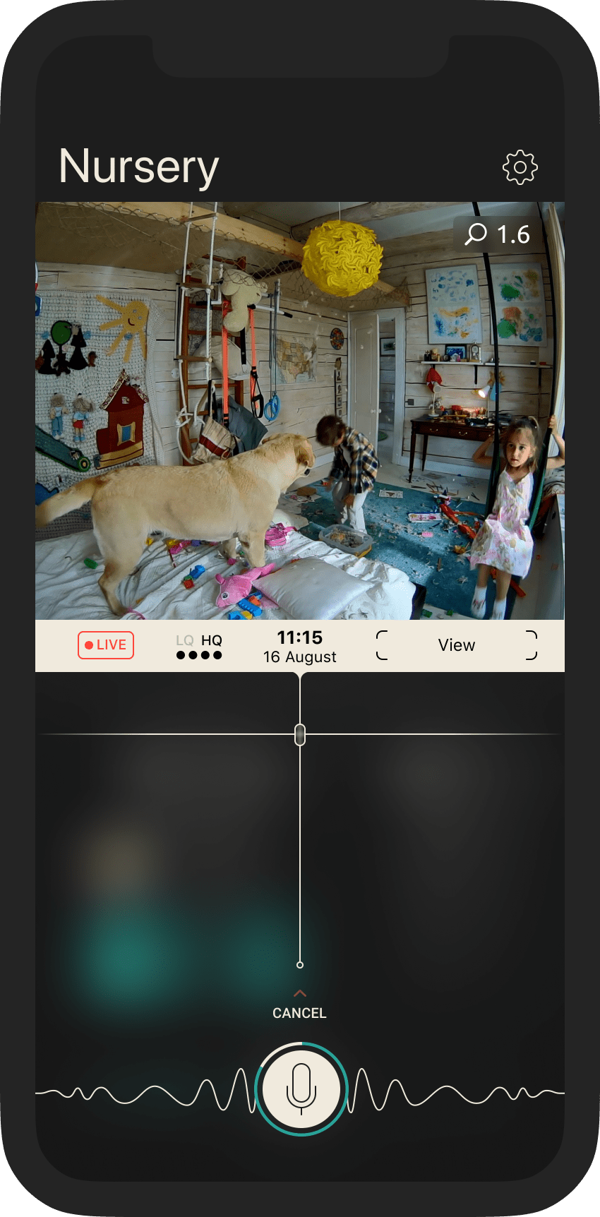 What are Voice Messages and how do they work | Zorachka Inc.