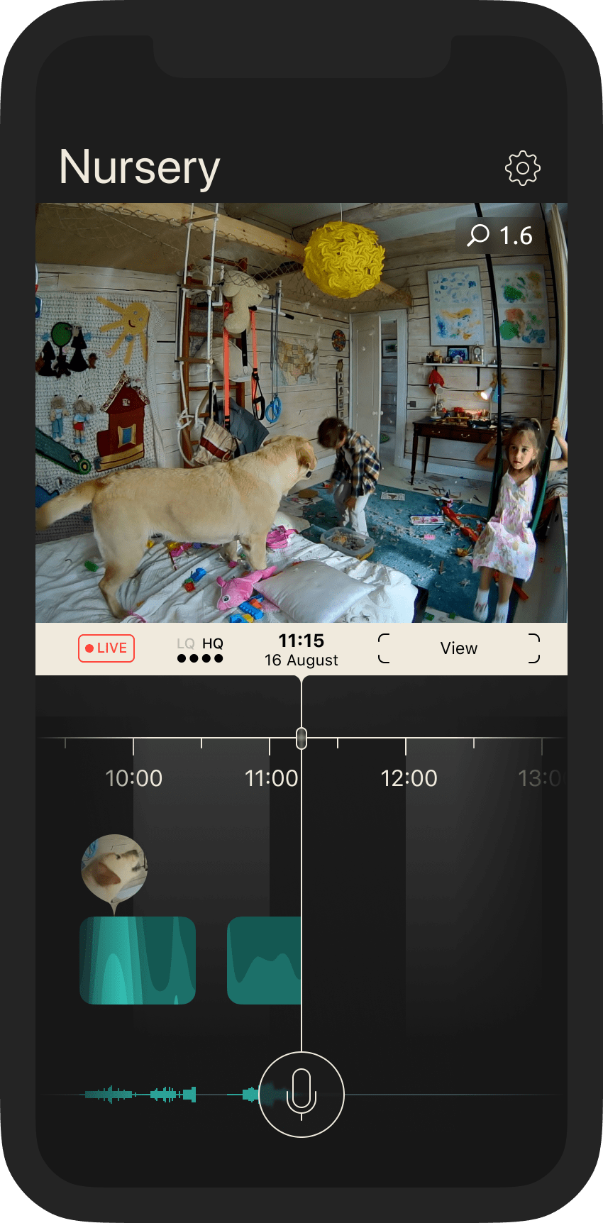 How to change Homam settings | Zorachka Inc.